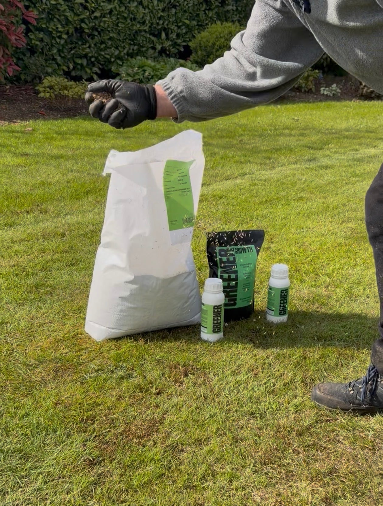 When to Overseed a Lawn UK | Spring vs Autumn Guide – GREENER
